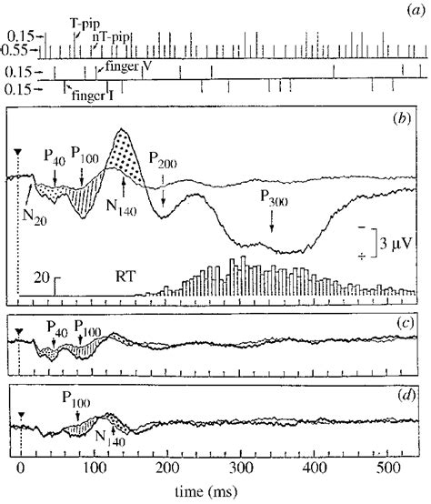 a sample of the randomly intermixed sequence of four sensory stimuli