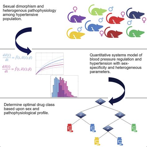 Impact Of Sex And Pathophysiology On Optimal Drug Choice In