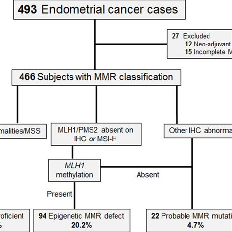 mmr testing algorithm and class distribution download scientific diagram