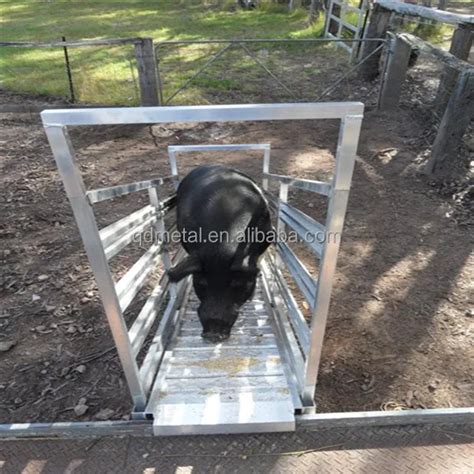 Stainless Steel Cattle Loader Loading Ramp Buy Container Load Ramp Trailer Loading Ramps Farm