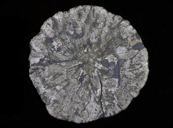Pyrite Suns The Story Of Illinois