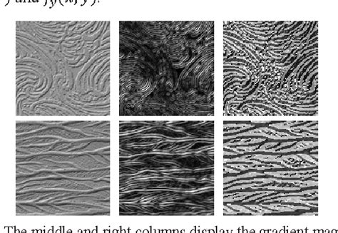 Figure 1 From Perceptual Texture Retrieval Using Spatial Distributions Of Textons Sdot
