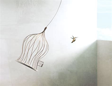 Swift Bird Spiritual Meaning Reach New Heights In Life