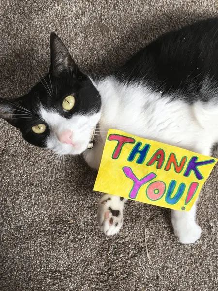 How To Build A Rest Api With Nodejs And Typescript By Holasoymalva Medium