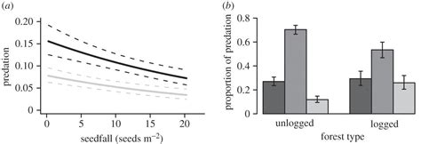 Impacts Of Logging On Density Dependent Predation Of Dipterocarp Seeds