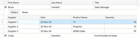 Tabbed View For Details Wpf Controls Devexpress Documentation Tabbed View For Details Wpf Controls Devexpress Documentation
