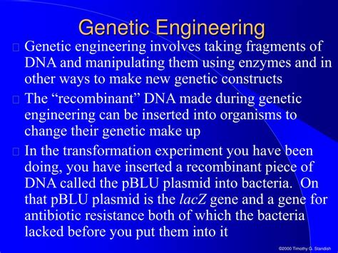 Ppt Genetic Engineering Powerpoint Presentation Free Download Id 3099112