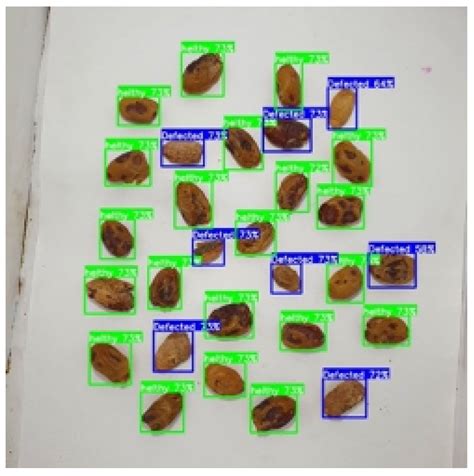 Date Fruit Classification Based On Surface Quality Using Convolutional