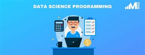 a holistic analysis of programming languages in 2025