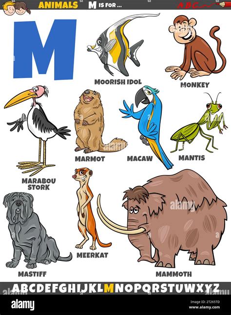Weird Animals That Start With M