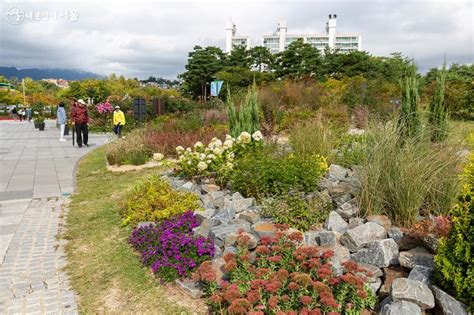 서울시 내 손안에 서울