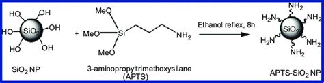 Schematic Illustration Of Apts Functionalization Of A Silica