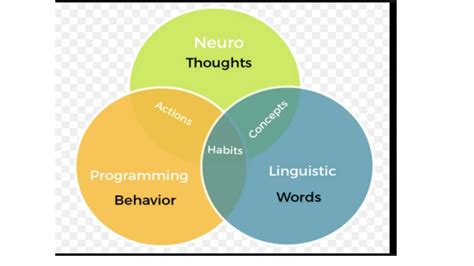 neuro linguistic programming nlp 2 pdf