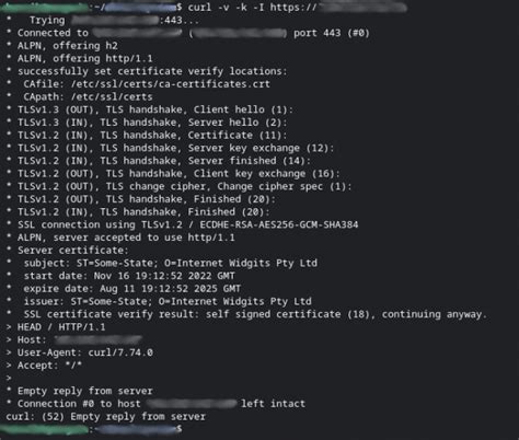 Nginx Default Server Config