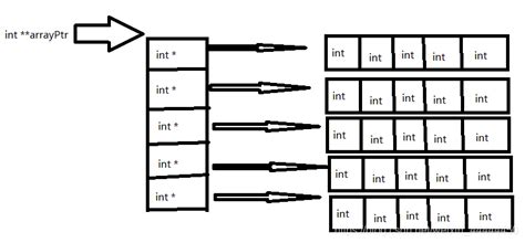 C New申请二维动态数组详解c动态创建二维数组new Csdn博客