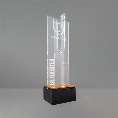 Bespoke Plexiglass And Wooden Trophy Recognition Acrylic Award For