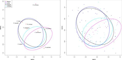 Seasonality Strongly Affects Short‐term C‐storage In Coastal Macrophyte
