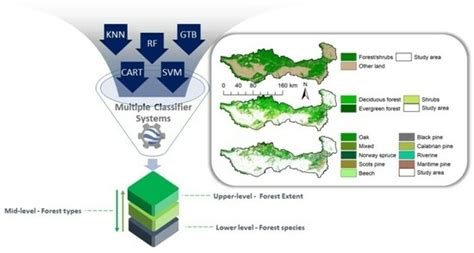 Evaluation Of Multiple Classifier Systems For Mapping Different