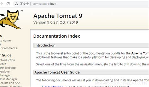 Nginx反向代理访问tomcat项目通过域名访问nginx Tomcat 域名访问 Csdn博客