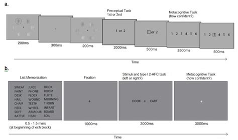 4 1 A Visual Perception Metacognitive Task 1 Trial Adapted From
