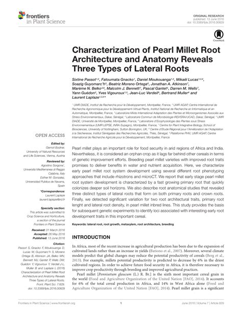 Pdf Characterization Of Pearl Millet Root Architecture And Anatomy