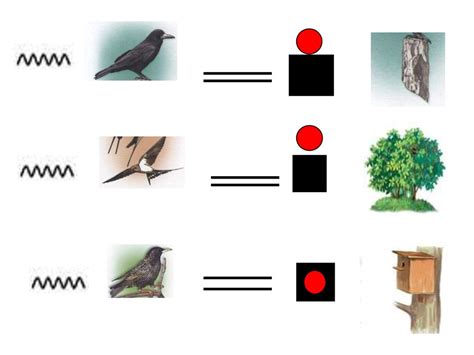 Картинки схемы предложений для дошкольников