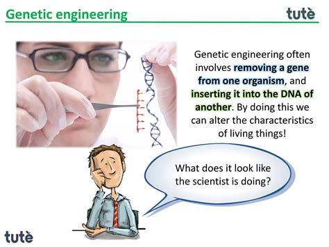 Bio Igcse Genetic Engineering Pdf Biotech And Biomedical Industry Industries