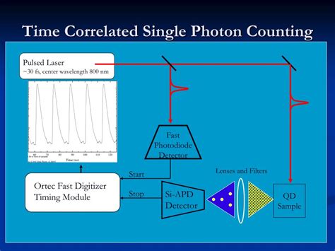 Ppt Time Correlated Single Photon Counting Tcspc Powerpoint Presentation Id2621435