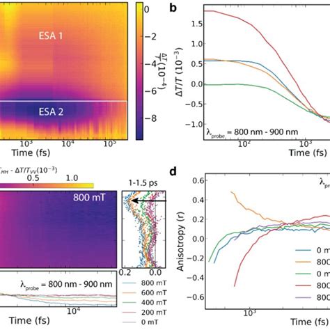 Photoexcited Dipole Relaxation Dynamics A Broadband Transient Download Scientific Diagram
