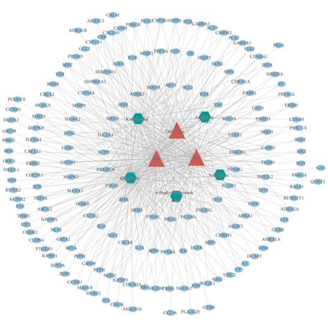 bioinformatics analysis of overlapping target genes a gene ontology