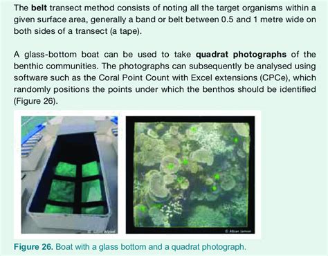 the lit line intercept transect and pit point intercept transect