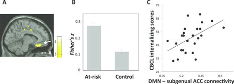 A Region In Subgenual Anterior Cingulate Cortex Accorbitofrontal Download Scientific