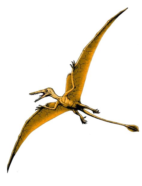 Rhamphorhynchus Mesozoic Survival Wiki Fandom