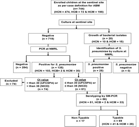 Flowchart Of Sample Collection And Testing The Flow Chart Depicts The