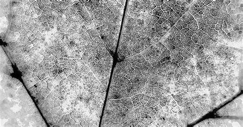 Gridlock Album On Imgur