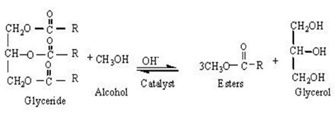 Transesterification Of Triglycerides With Alcohols Mutlubaş 2016