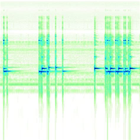 Spectrogram Of Sound 2 Clicks 20 S Download Scientific Diagram