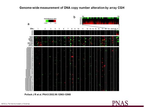Localization Analysis Ppt Download