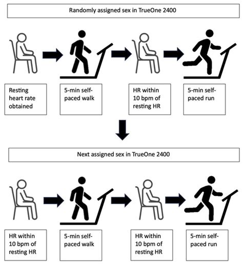 Binary Sex Input Has No Effect On Metabolic Or Pulmonary Variables A Within Subjects