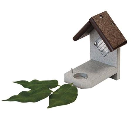 Hummingbird Nesting Platform Bell Farm Shops