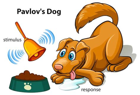 Pavlovs Hundeexperiment Vektor Kostenlose Vektor