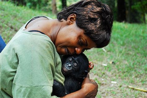 What Bonobo And Dolphin Sexuality Teaches Us About Humans Santa Monica Observer