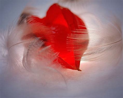 Стихове и Когато нещо скъпо ти се счупи дали ще можеш да го залепиш Когато във очите те