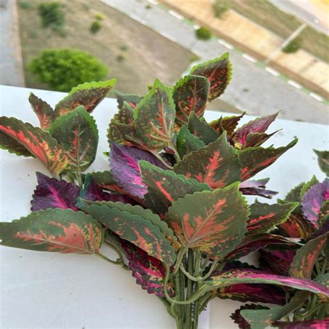 Bitki Object Detection Dataset By Miray