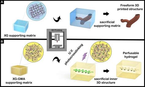 Schematics Of The Proposed Embedded Bio Printing Approaches For Download Scientific Diagram