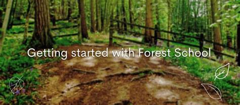 How To Set Up A Forest School Twinkl