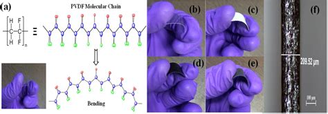 A Schematic Illustration Of Pvdf Molecular Chain Photographs Of B Download Scientific