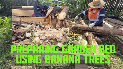 Preparing Garden Bed Using Banana Trees Part YouTube