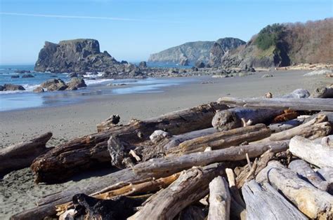 South Harris Beach Hiking In Portland Oregon And Washington