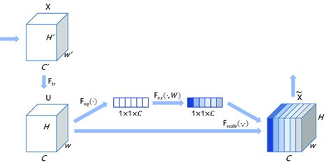 The Structure Of The Se Block Download Scientific Diagram
